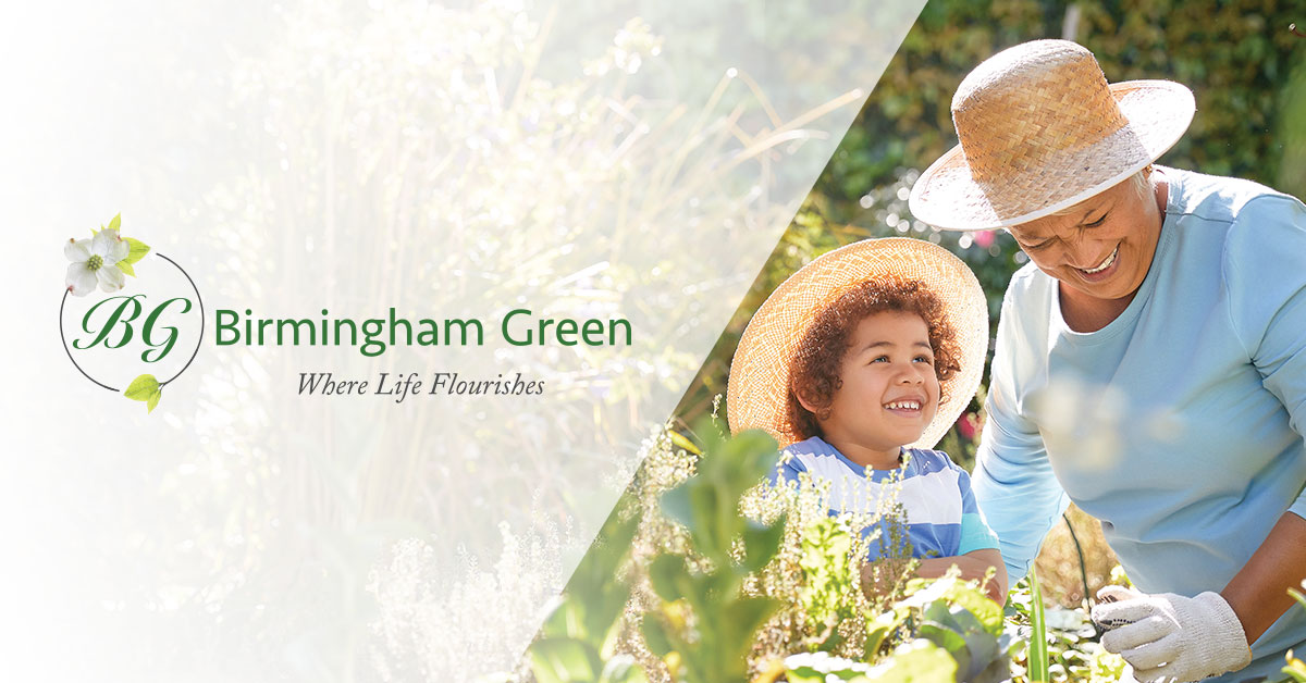 Welcome Birmingham Green’s New CEO Denise Chadwick Wright